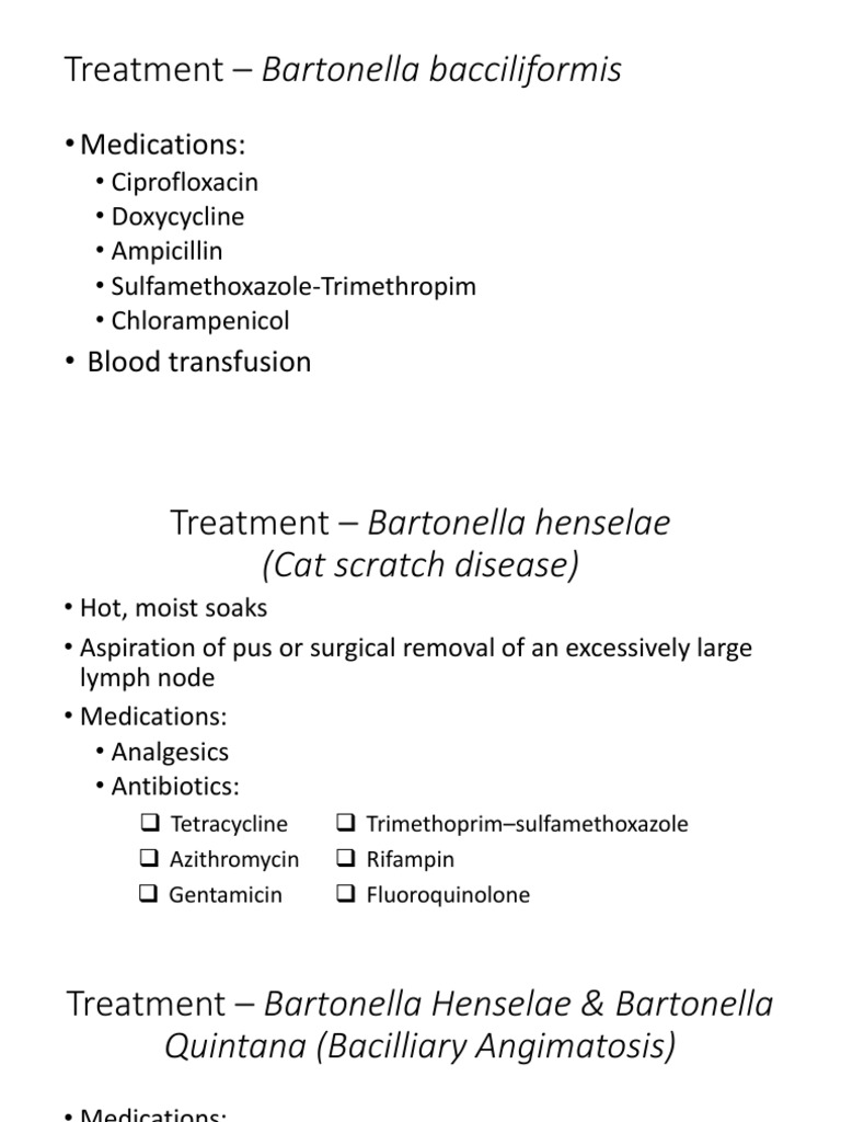 Treatment - Bartonella Bacciliformis | PDF