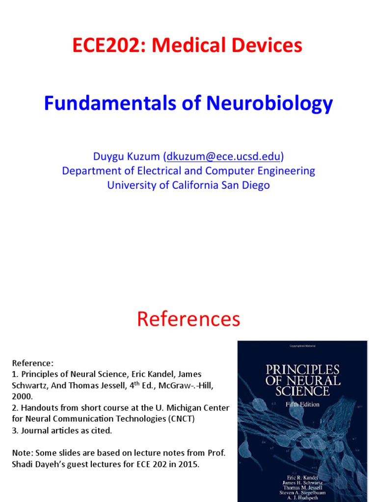 3.fundamentals of Neurobiology - Updated | PDF | Ion Channel | Neuron