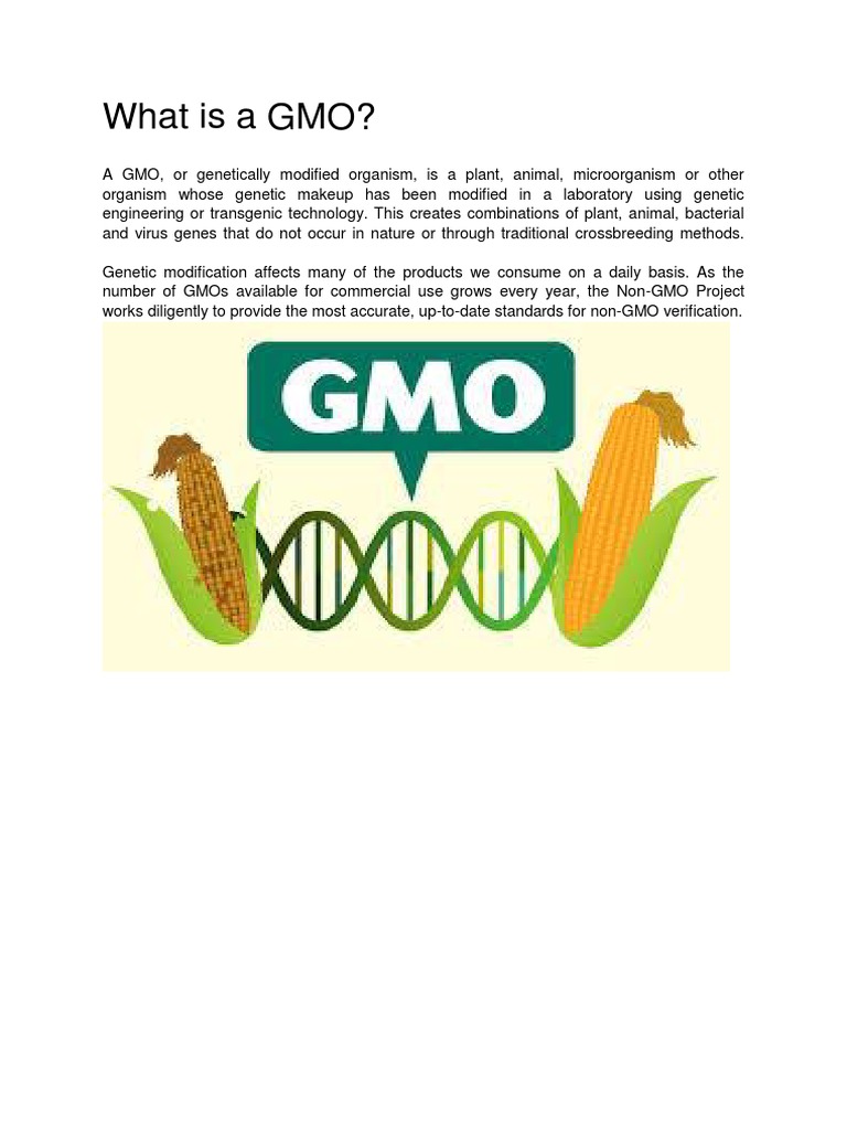What Is A GMO | PDF