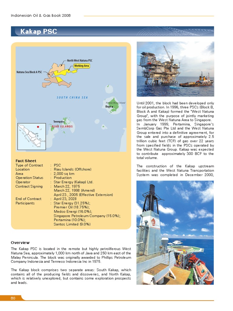 Kakap PSC | PDF | Natural Gas | Energy Industry