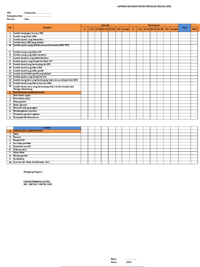 Form Laporan Bulanan IMS | PDF