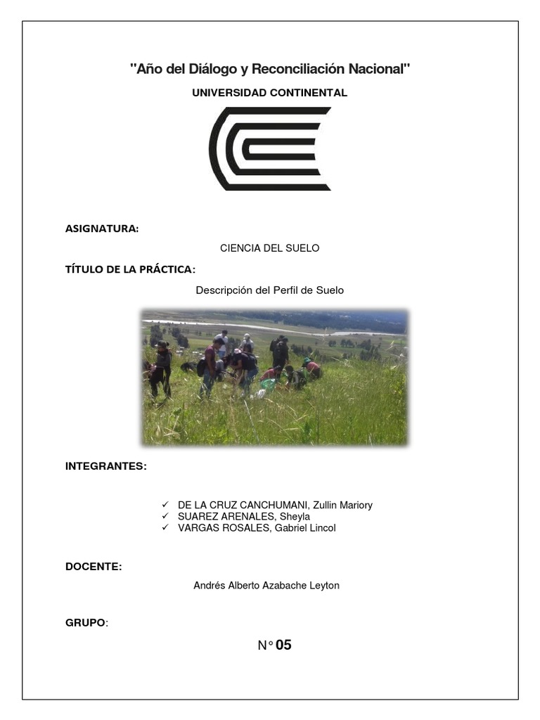 Informe Sobre Perfil de Suelos | PDF | Suelo | Roca (geología)