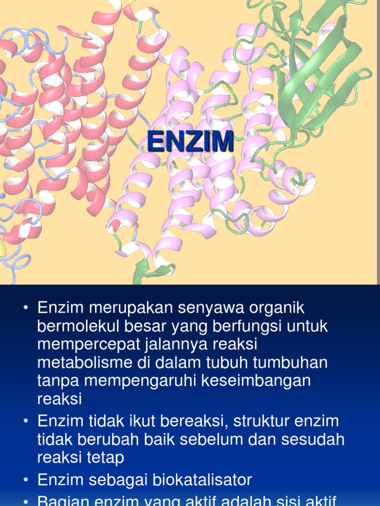 Pengantar Enzim: Fungsi dan Klasifikasi | PDF