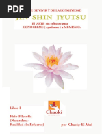 JIN SHIN JYUTSU Apertura 26 Cierres de Seguridad | PDF | Violencia | Agitación