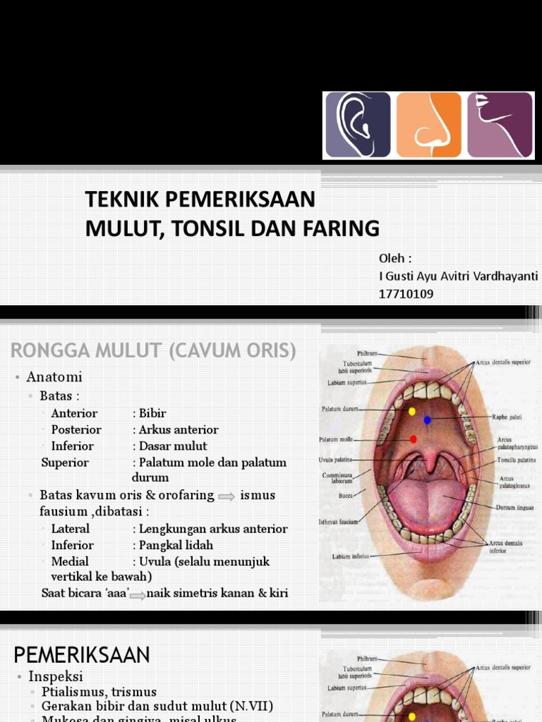 Teknik Pemeriksaan Mulut Tonsil Faring | PDF
