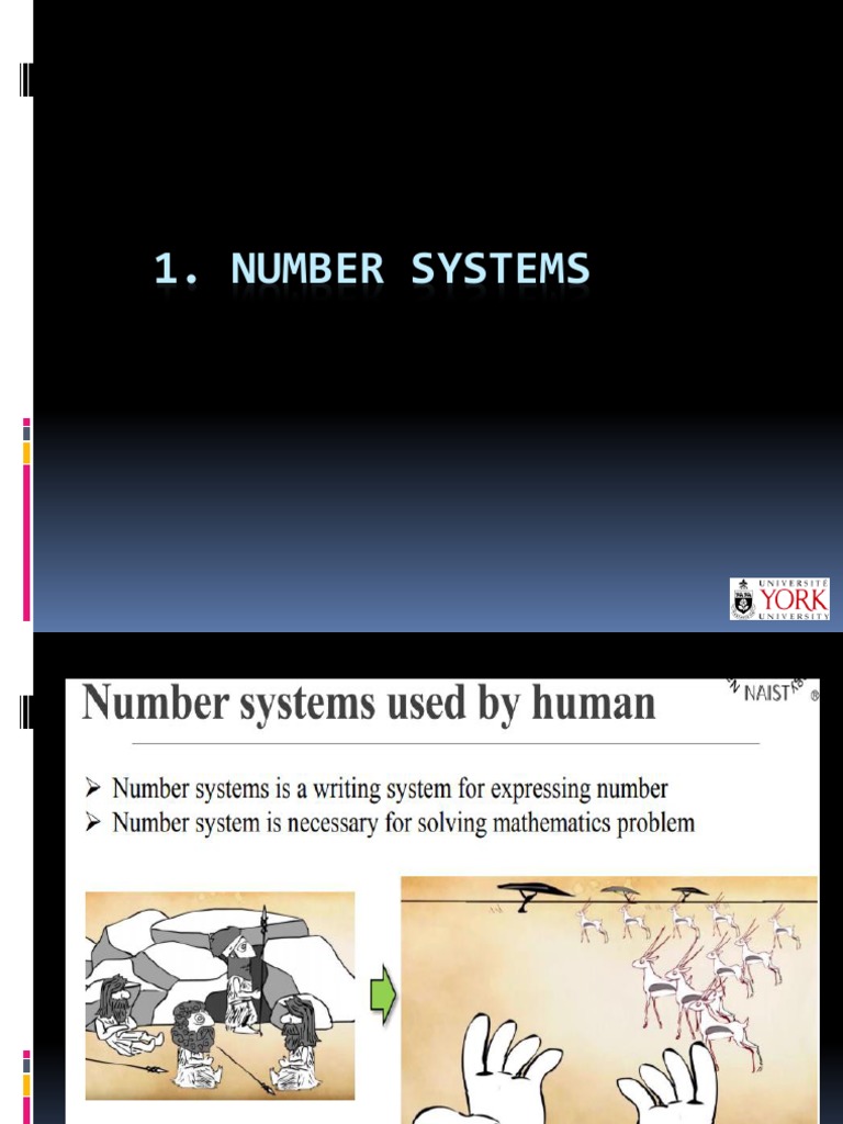 Number Systems | PDF | Numbers | Mathematical Notation