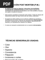 Proceso de Faenamiento Del Pollo | PDF | Aves | Medicina