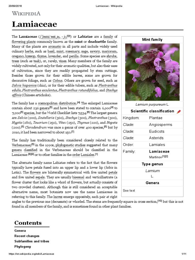 Lamiaceae: Mint Family | PDF | Plants | Science