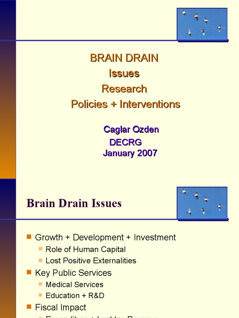 Brain Drain Issues Research Policies + Interventions | Download Free ...