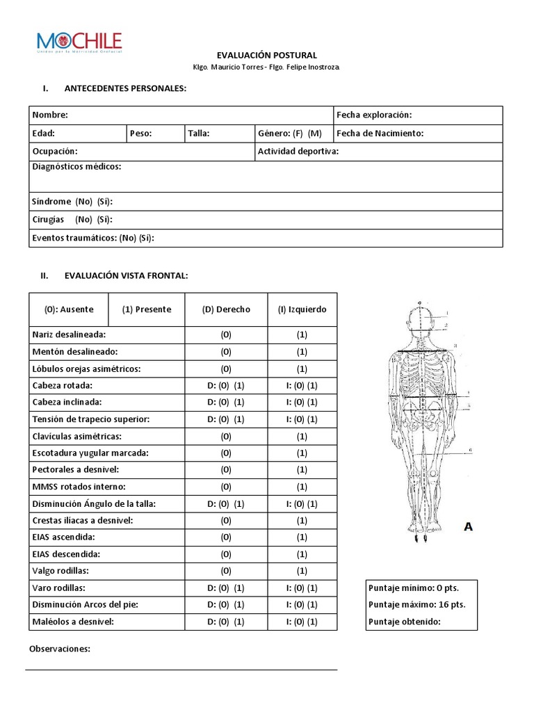 Evaluación Postural | PDF | Anatomía humana | Medicina CLINICA