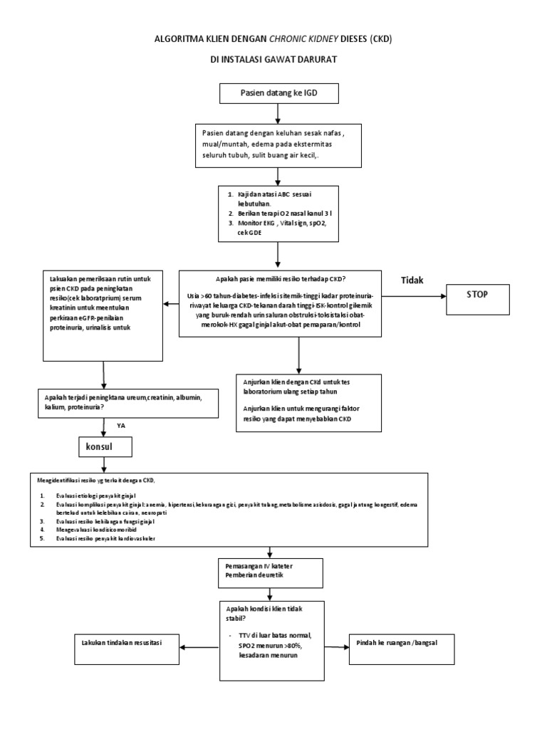 Algoritma Klien Dengan Chronic Kidney Dieses | PDF