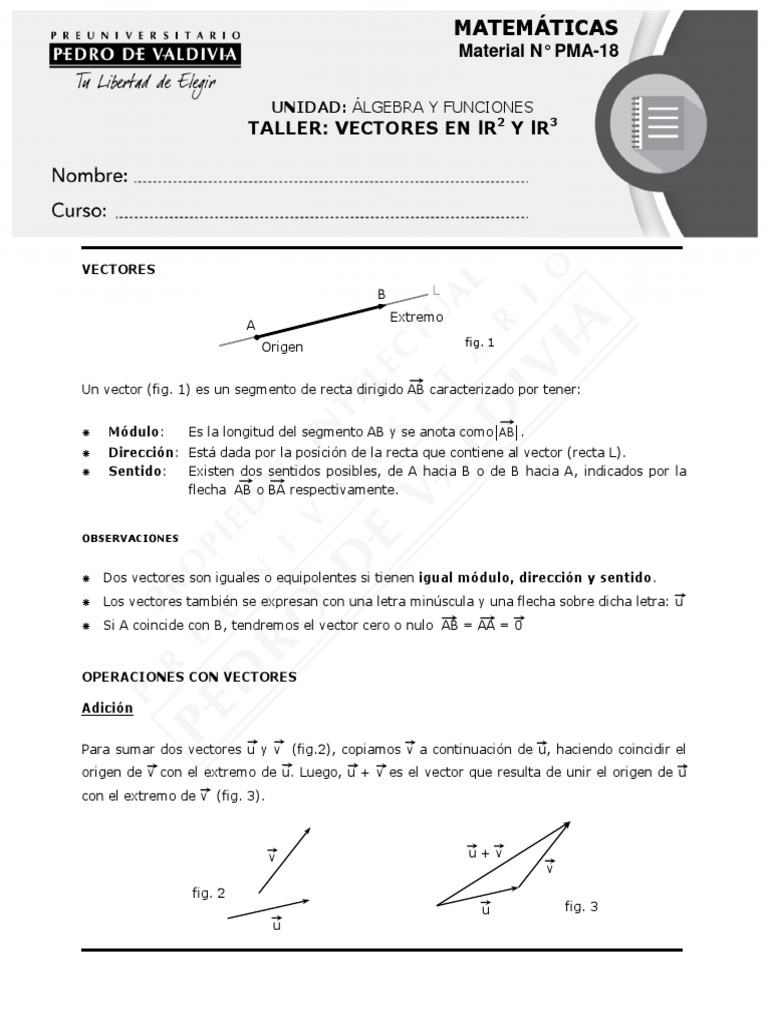 Vectores en R2 y R3 | PDF | Vector Euclidiano | Álgebra abstracta