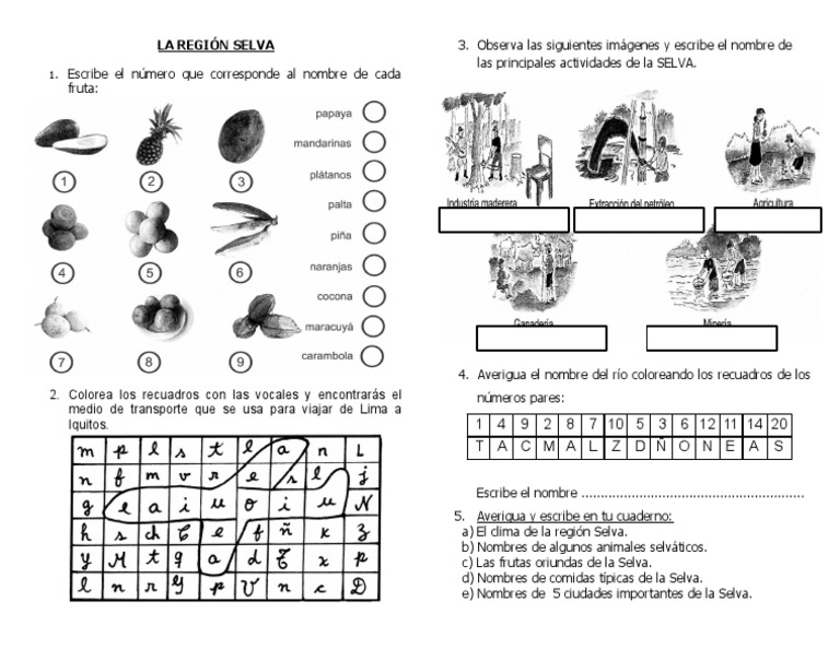 Ficha Sobre La Región Selva | PDF