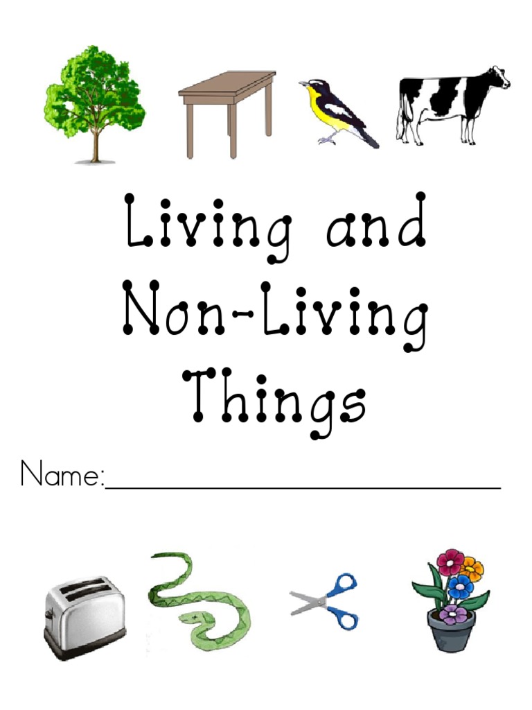 Living and Non-Living Activity Booklet | PDF