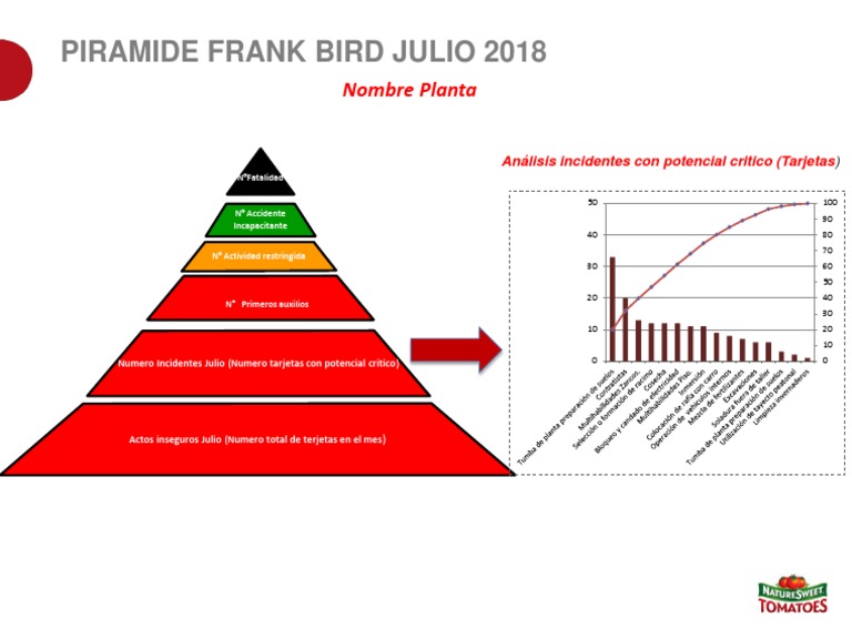 Piramide Frank Bird | PDF