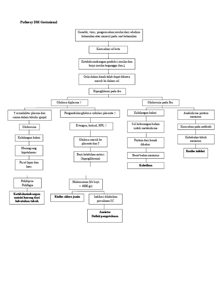 Woc DM Gestasional | PDF
