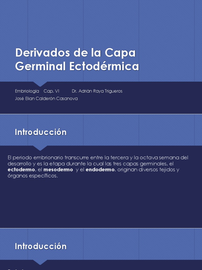 Derivados de La Capa Germinal Ectodérmica | PDF | Sistema nervioso ...