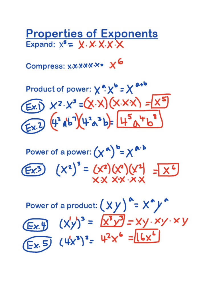 Algebra Unit 3 Exponential Functions | PDF