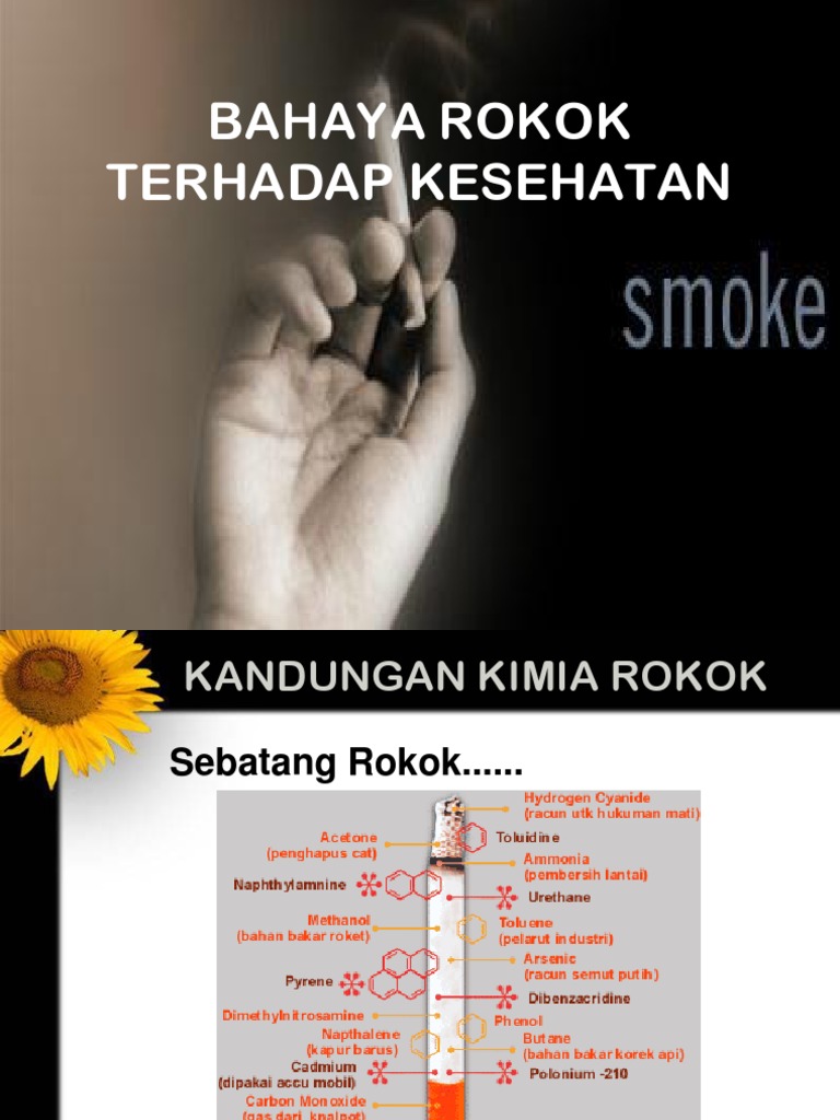 Materi Bahaya Merokok | PDF