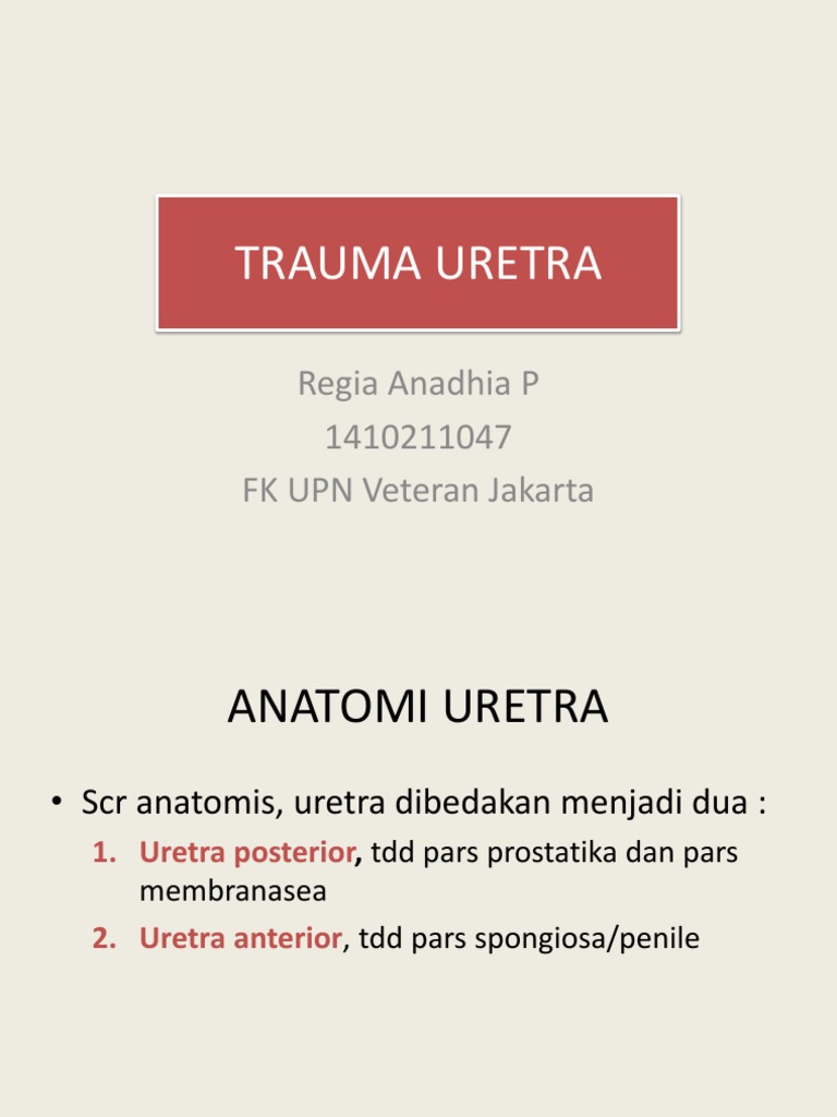 Trauma Uretra Posterior and Anterior | PDF