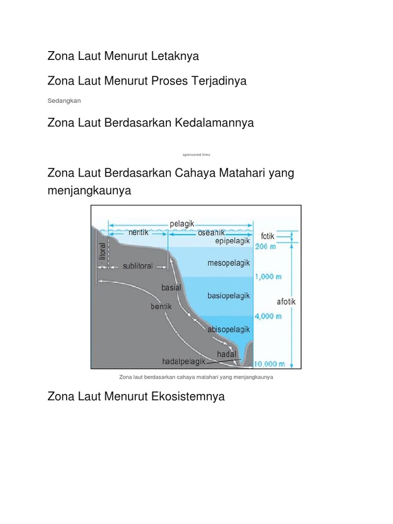Zona Laut Menurut Letaknya Zona Laut Menurut Proses Terjadinya | PDF