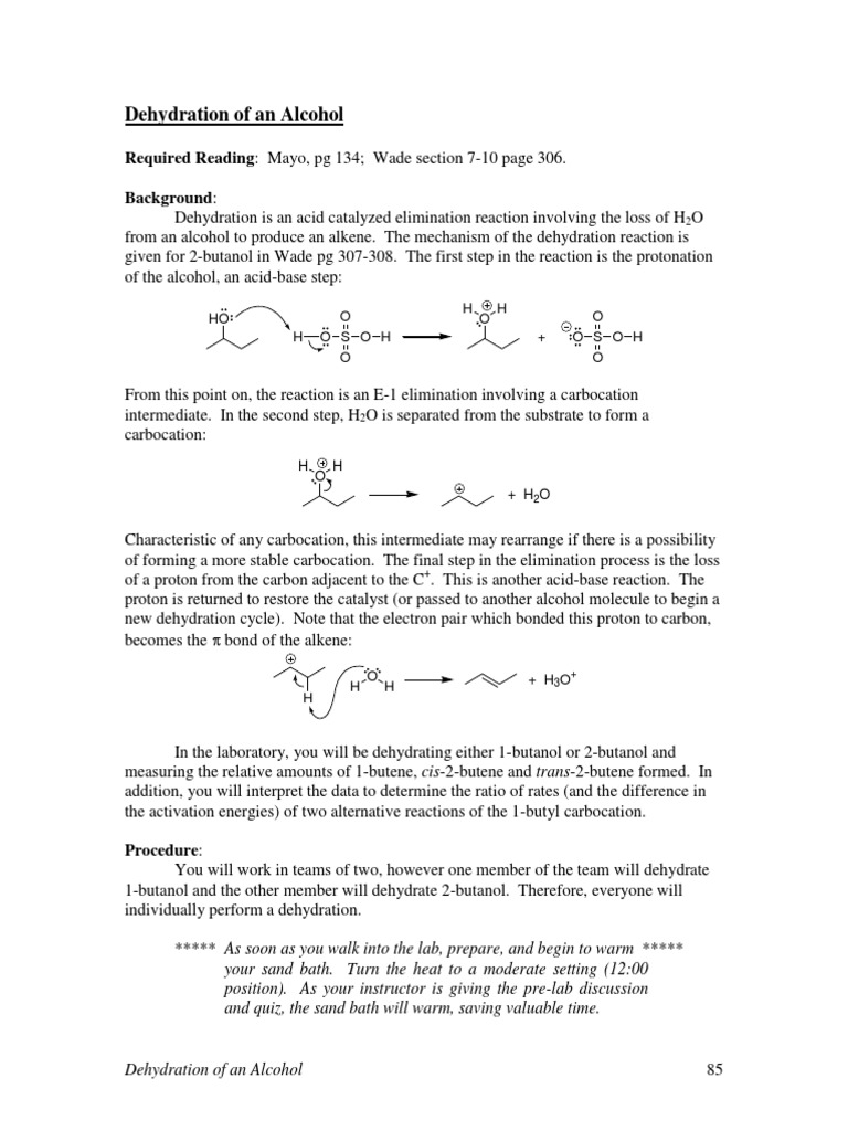Dehydration of 1-Butanol and 2-Butanol | PDF | Gas Chromatography ...