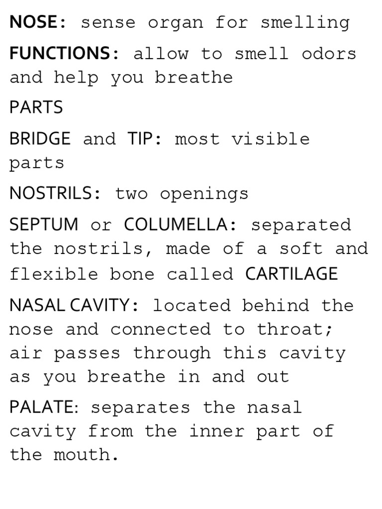 Parts of A Nose - Science 3 | PDF