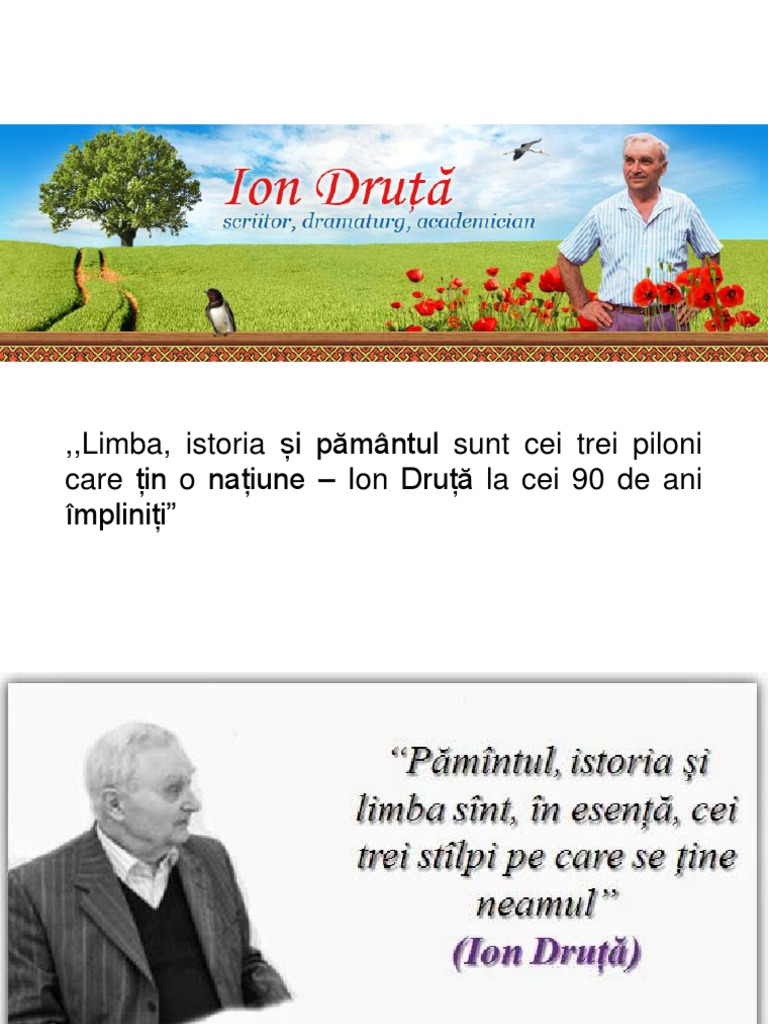 Ion Druta | PDF