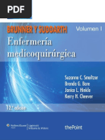 Diagnósticos de Enfermeria Nanda - Libro Completo | PDF | Enfermería ...