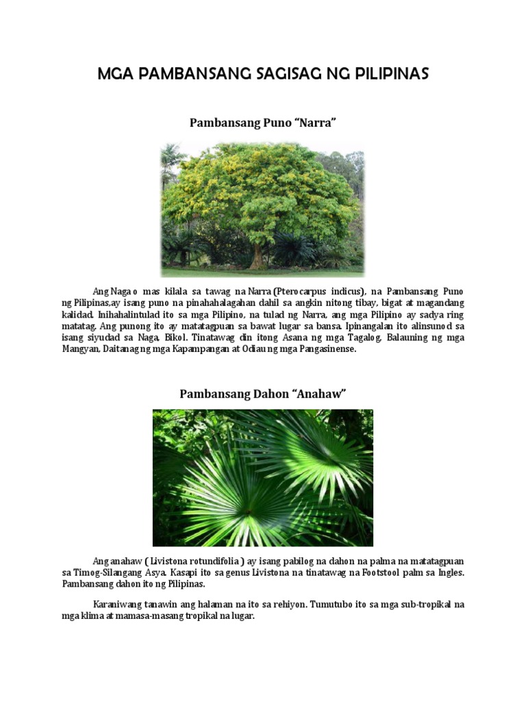 Pambansang Laro Ng Pilipinas Sipa Larawan