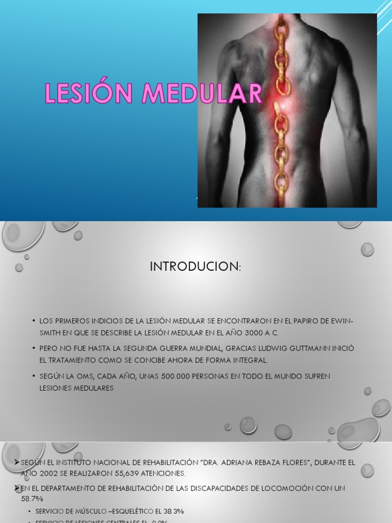 Lesion Medular | Lesión de la médula espinal | Especialidades Medicas ...