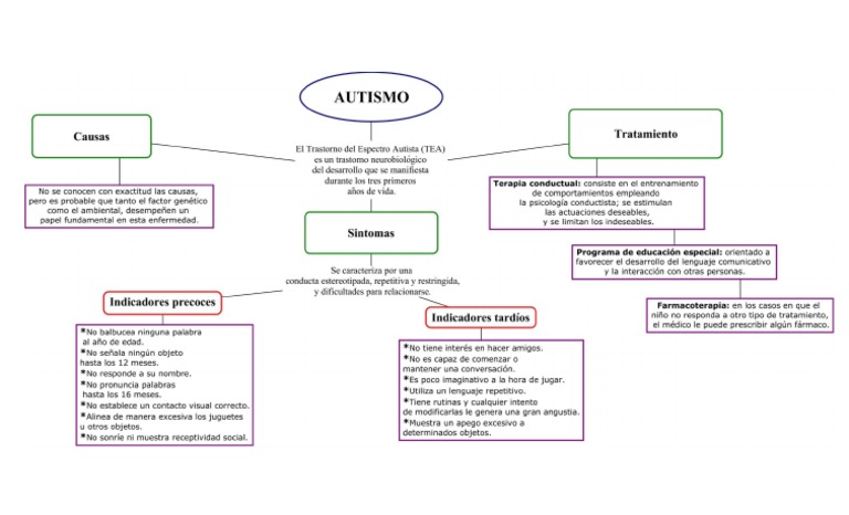 Mapa Conceptual Autismo