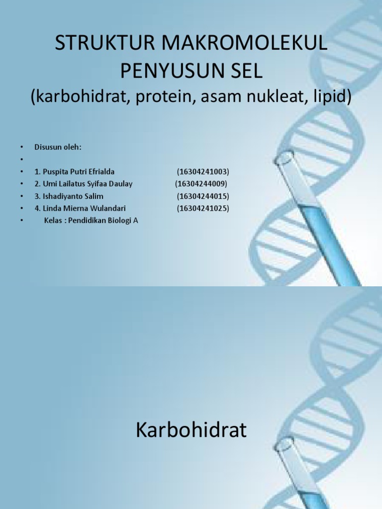 Struktur Fungsi Makromolekul Penyusun Sel | PDF