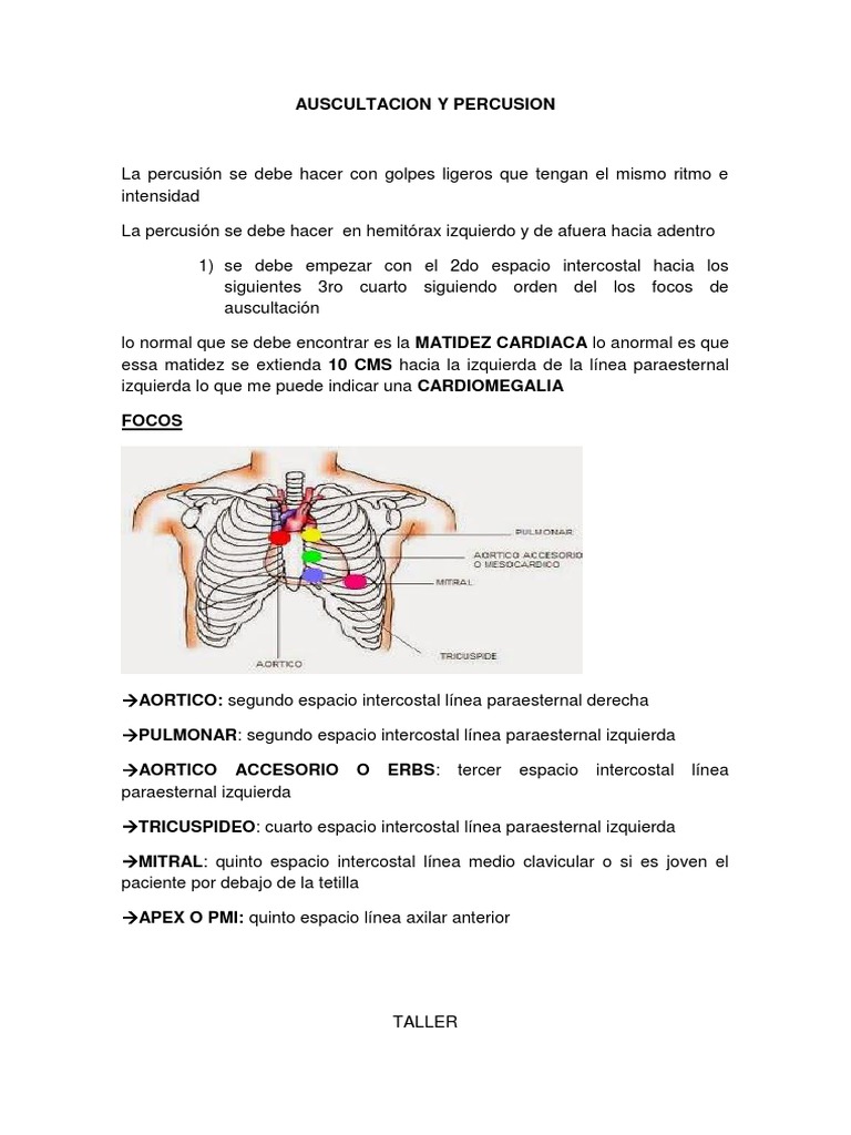 Matidez y Percusión Cardíaca | PDF | Corazón | Sistema cardiovascular