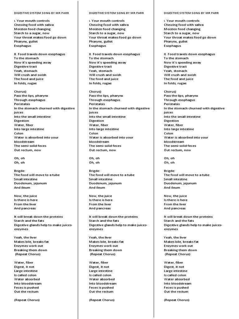 Digestive System Song by MR Parr | PDF | Human Digestive System ...