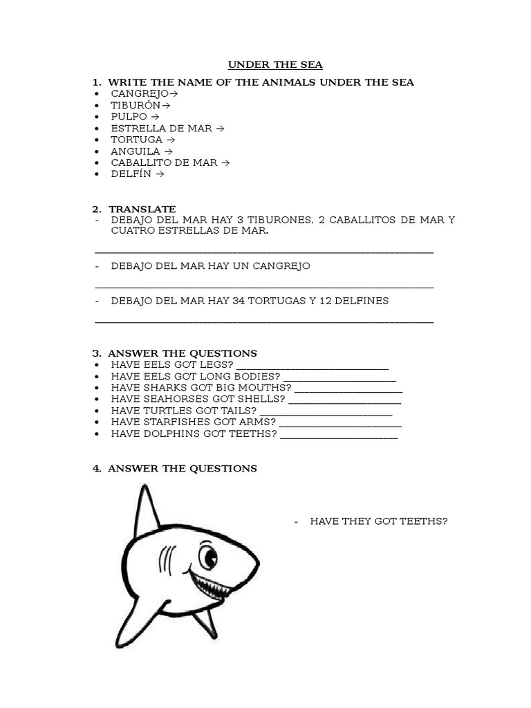 Explorers 4 Unit 6 Under The Sea | PDF