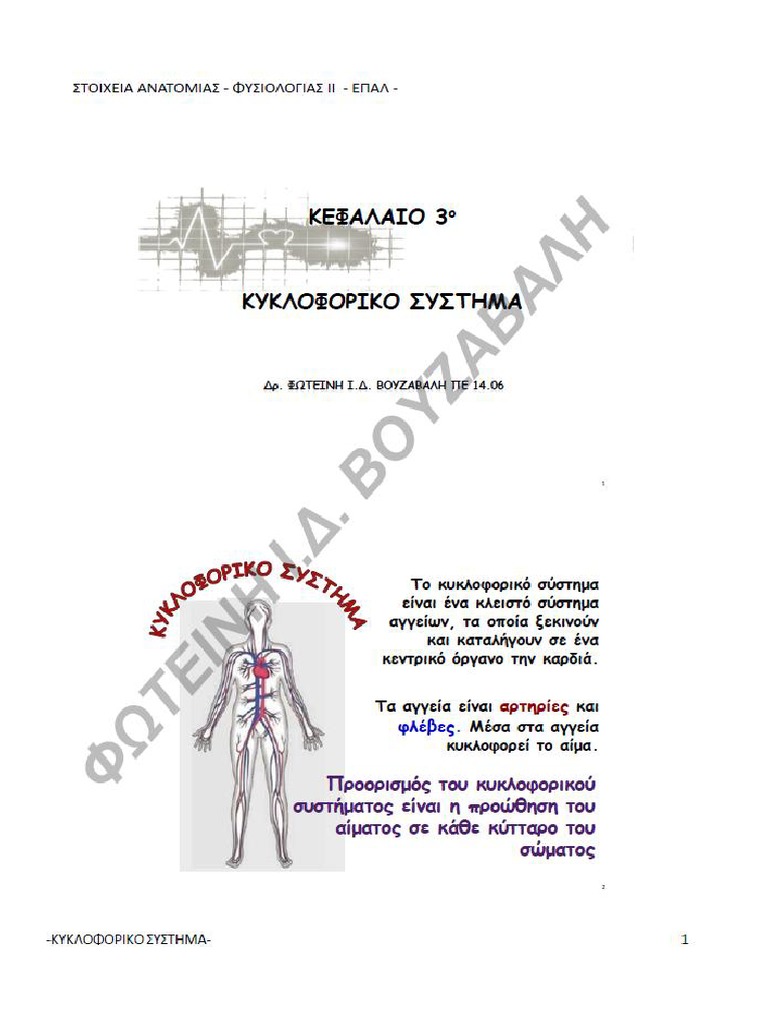 Ανατομία Φυσιολογία ΙΙ Σημειώσεις 1 | PDF