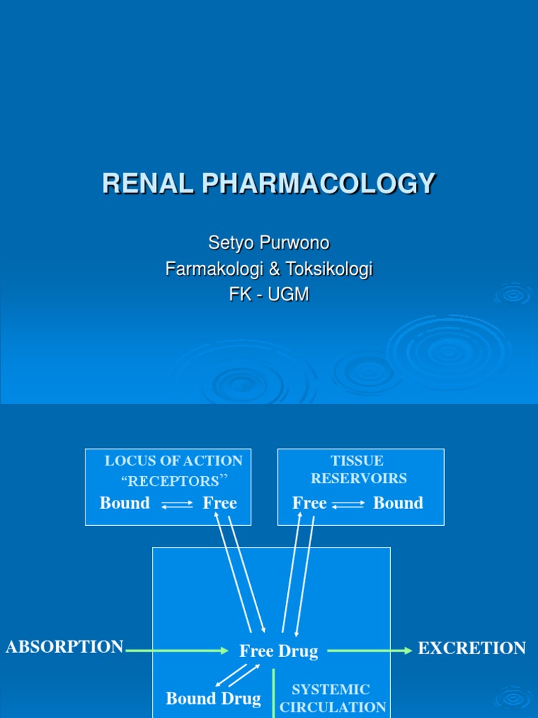 Renal Pharmacology: Drug Clearance Insights | PDF | Renal Function | Rtt