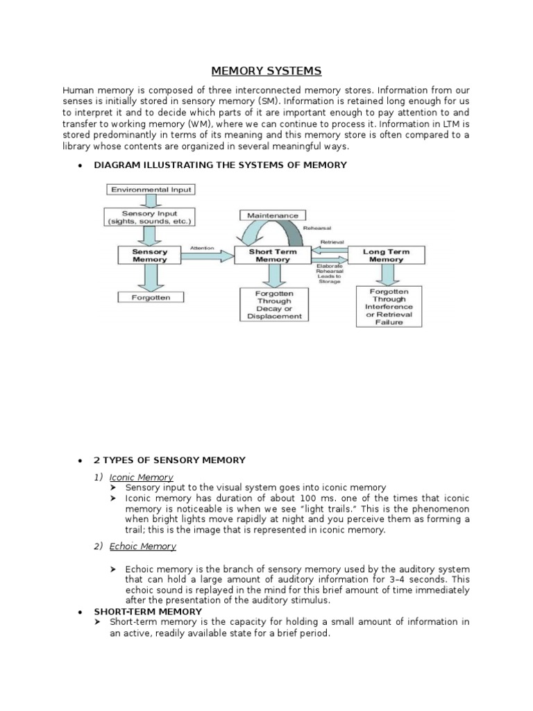 Topic Outline - Memory Systems | PDF | Memory | Recall (Memory)