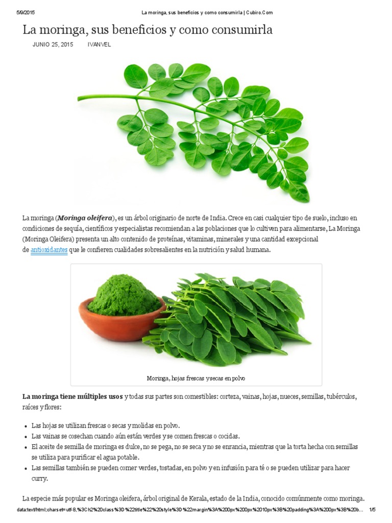 Los Múltiples Beneficios De La Moringa Y Formas De Incluirla En La