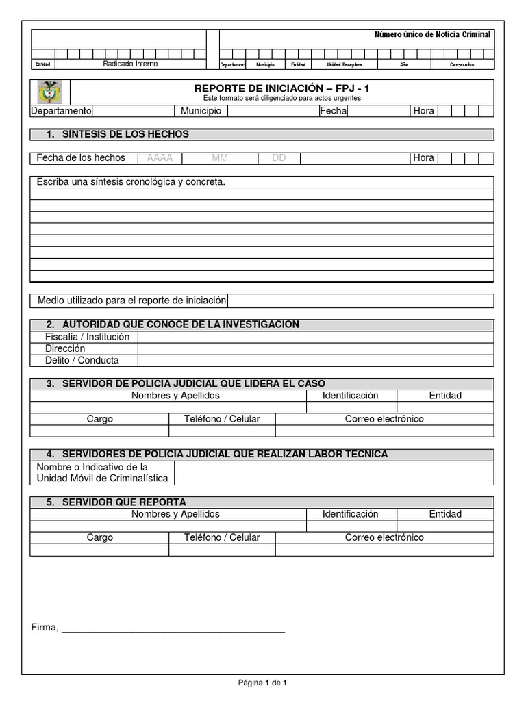 FPJ 1 Reporte de Iniciación | PDF