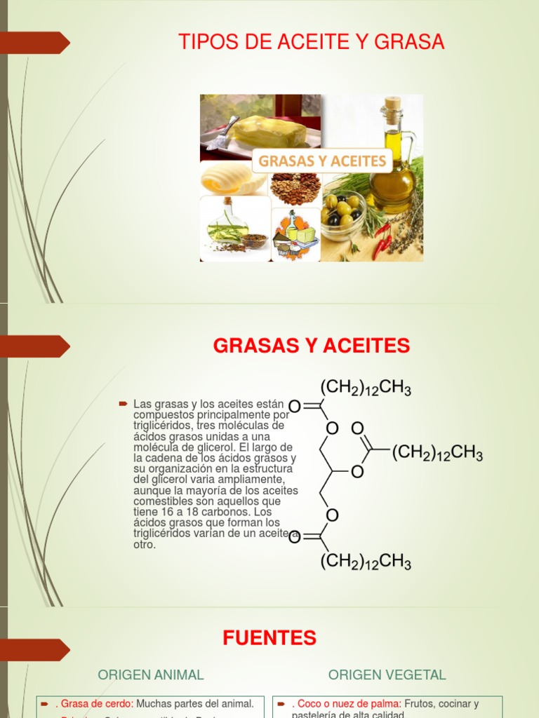 Tipos De Aceite Y Grasa | Aceite de oliva | gordo