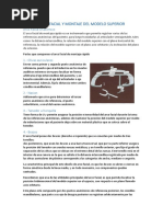 Componentes del arco facial | PDF | Ciencia y matemáticas