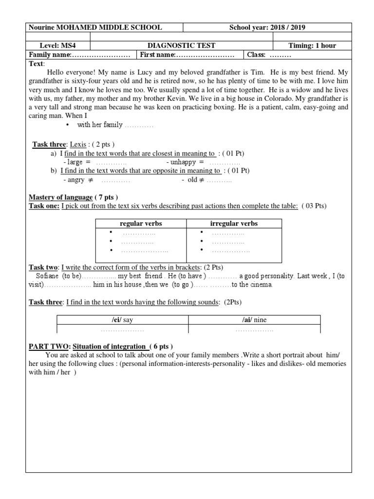 MS4 Diagnostic Test Guide | PDF