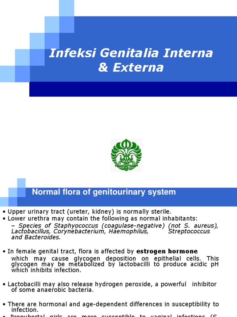 Infeksi Genitalia Interna & Externa | PDF | Lactobacillus ...