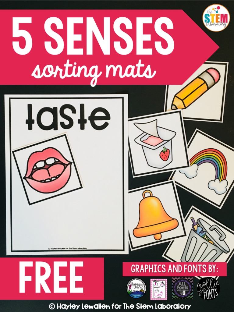 5 Senses Sorting Mats | PDF