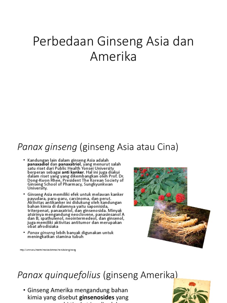 Ginseng | PDF