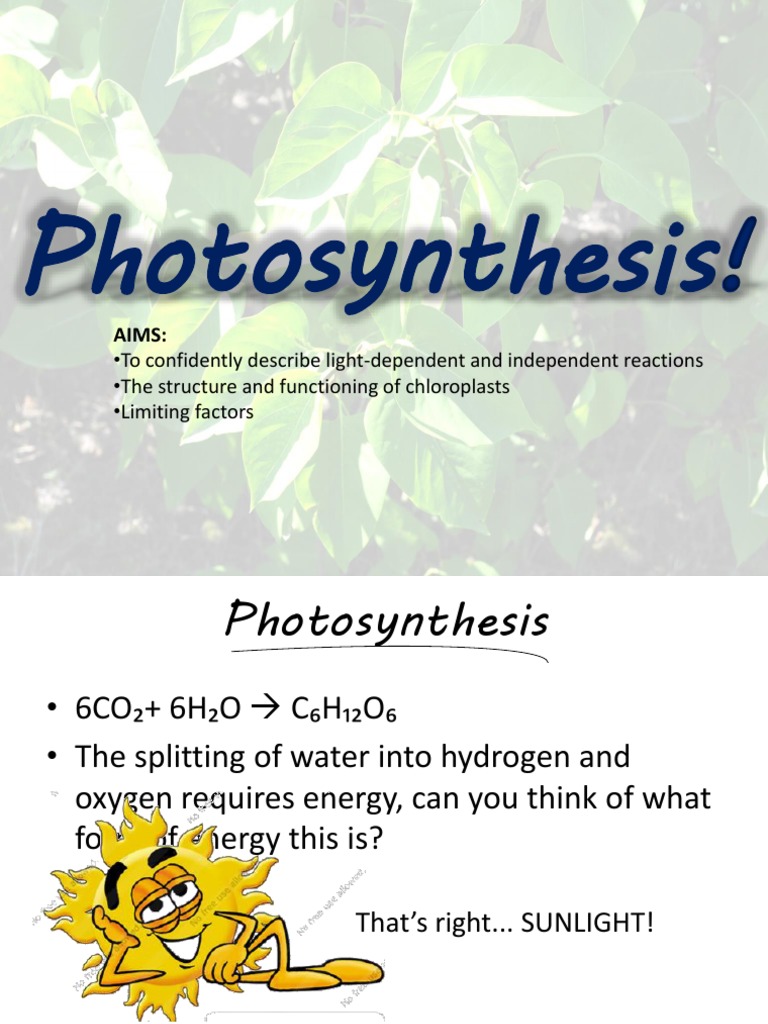 Photosynthesis | PDF | Photosynthesis | Plant Physiology