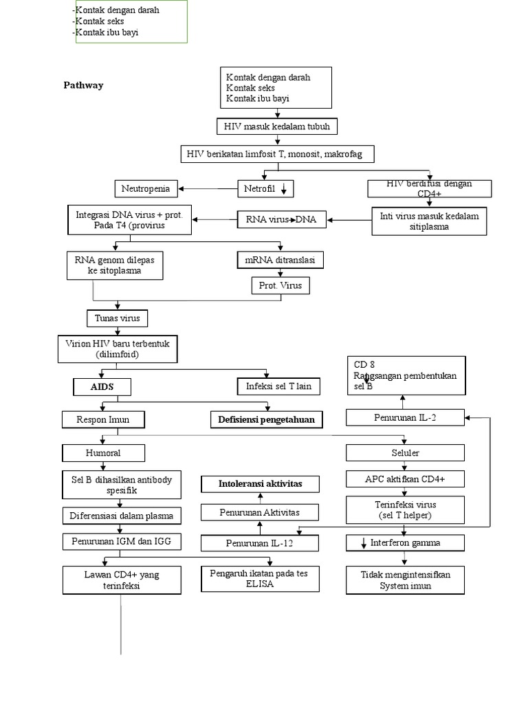 Pathway HIV Menurut Nanda | PDF