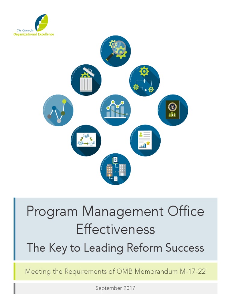 Program Management Office Effectiveness | PDF | Consultant | Expert